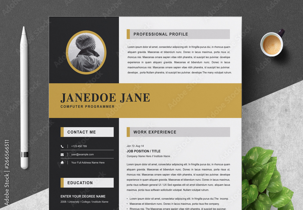 Professional Black and Gold Resume Layout Stock Template | Adobe Stock