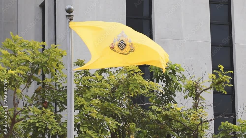Slow motion of Royal Flag of King Rama X (King Maha Vajiralongkorn ...
