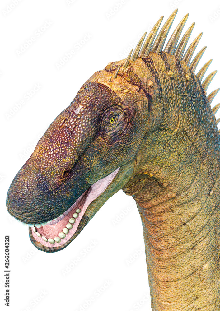Poster alamosaurus in a white background – Wall Art | UkPosters