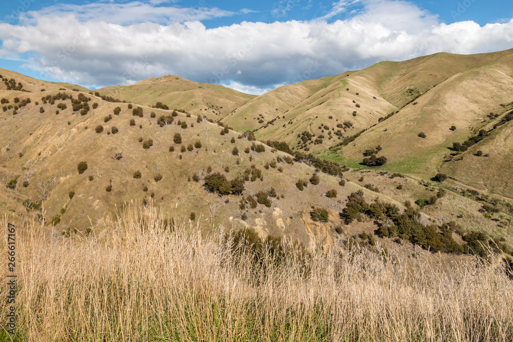 Wither Hills above Blenheim town in Marlborough region of New Zealand ...