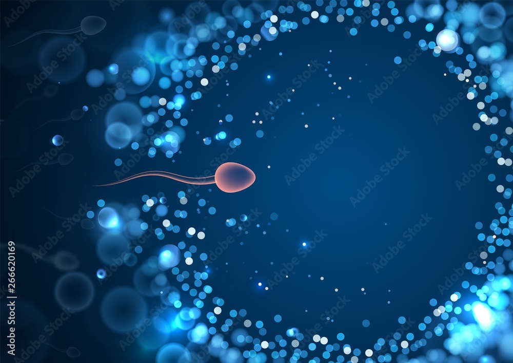 Natural fertilization. Sperm and egg vector illustration. Reproductive ...