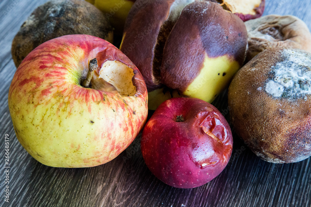Rotten Fruit Bowl