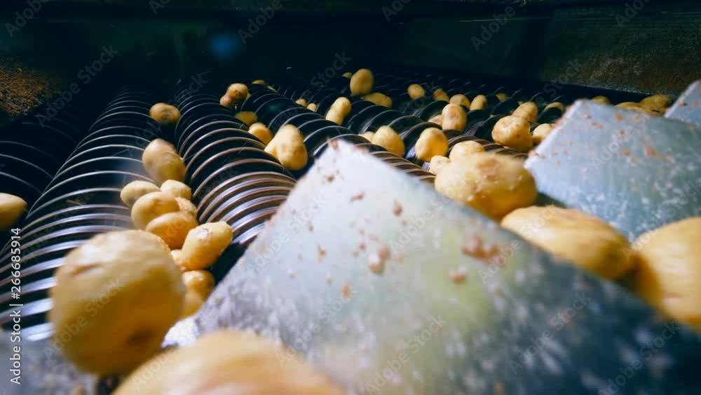 Potatoes are falling into an industrial slicing mechanism Stock ビデオ ...
