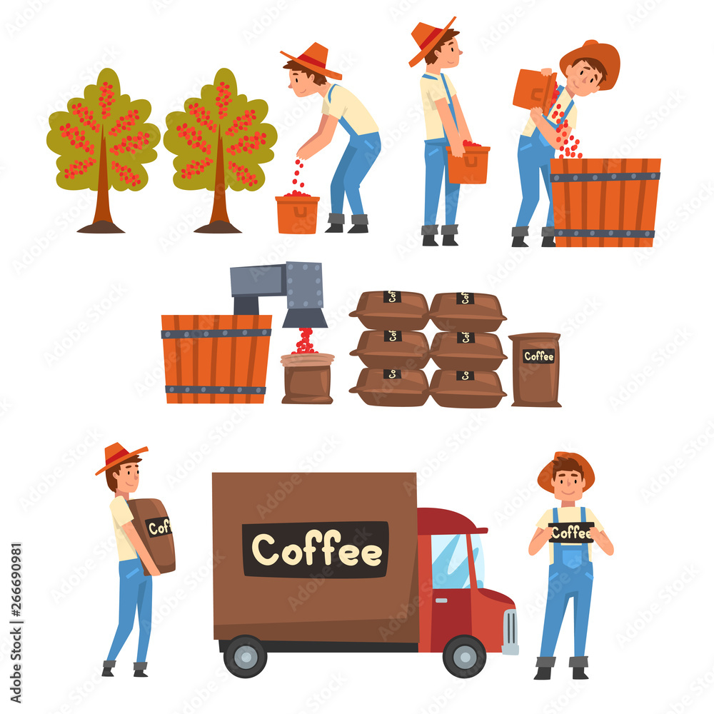 Coffee Industry Production Stages Set, Farmers Gathering, Sorting ...