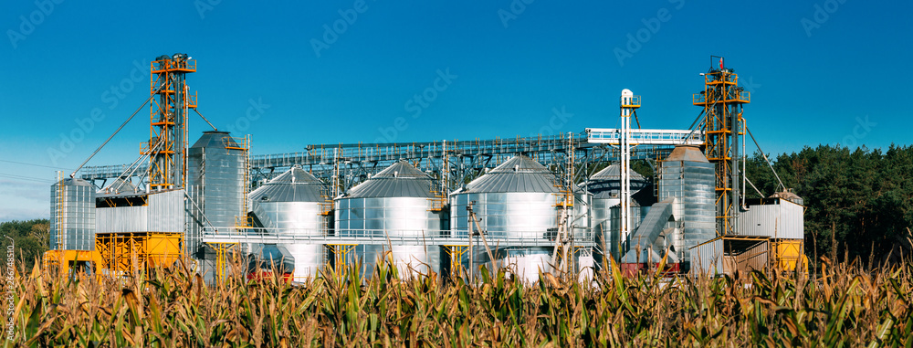 Foto de Modern Granary, Grain-drying Complex, Commercial Grain Or Seed ...