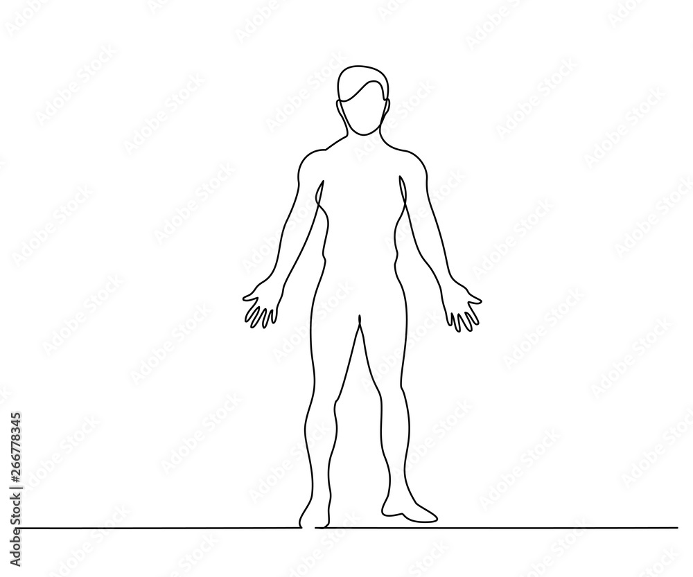 Man standing in anatomy position Continuous line Stock Vector | Adobe Stock
