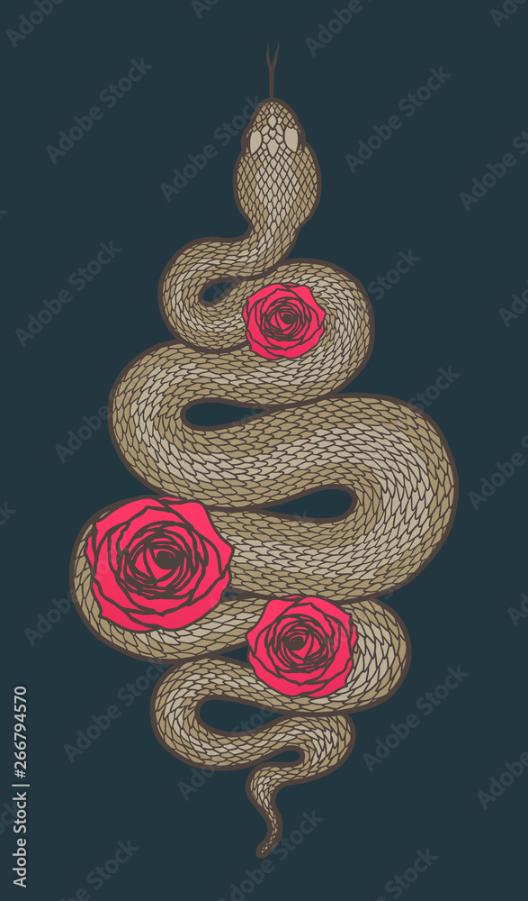 Coiled snake and roses detailed illustration Stock Vector | Adobe Stock