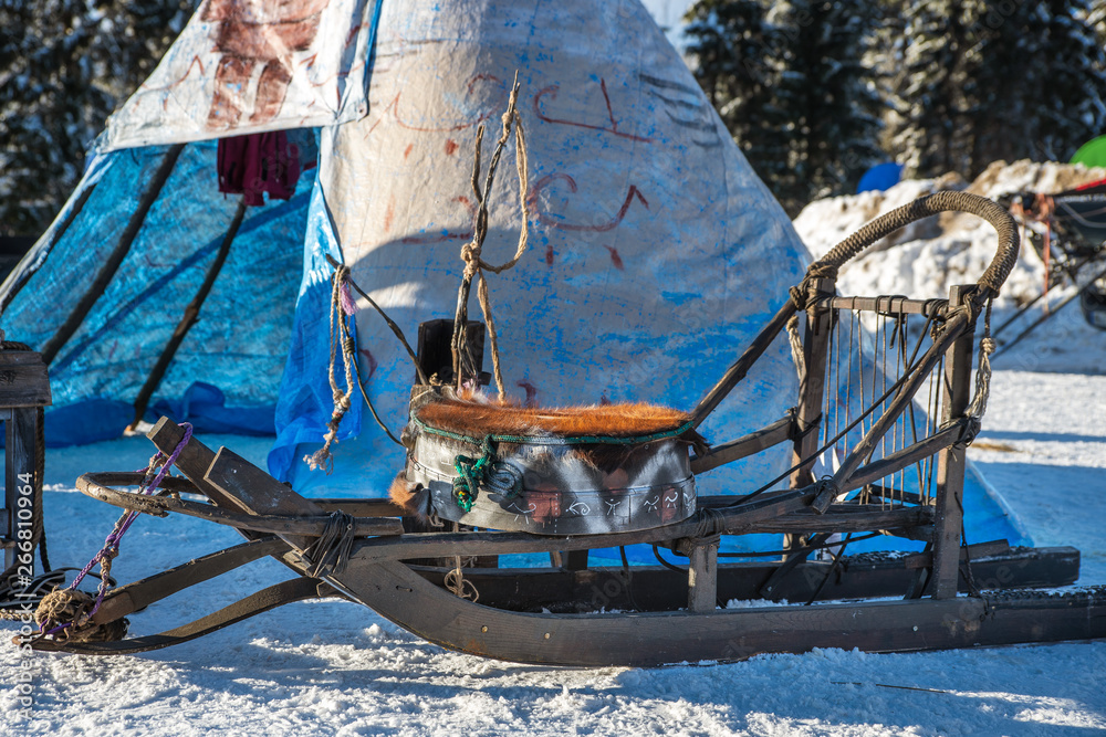 Old sled for dog sleds Stock Photo | Adobe Stock