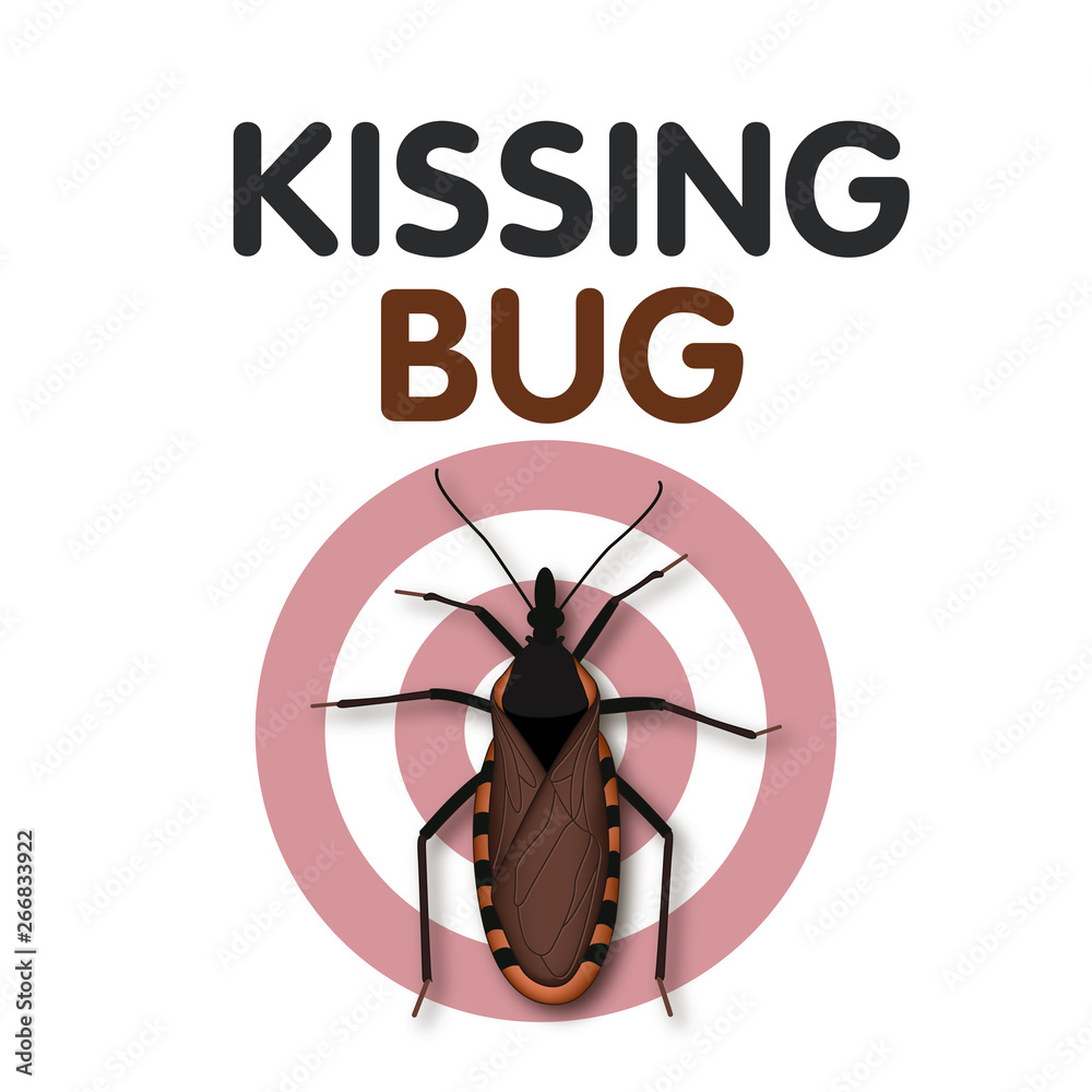 Kissing Bug, sucks blood from its victim's face, can carry Trypanosoma ...