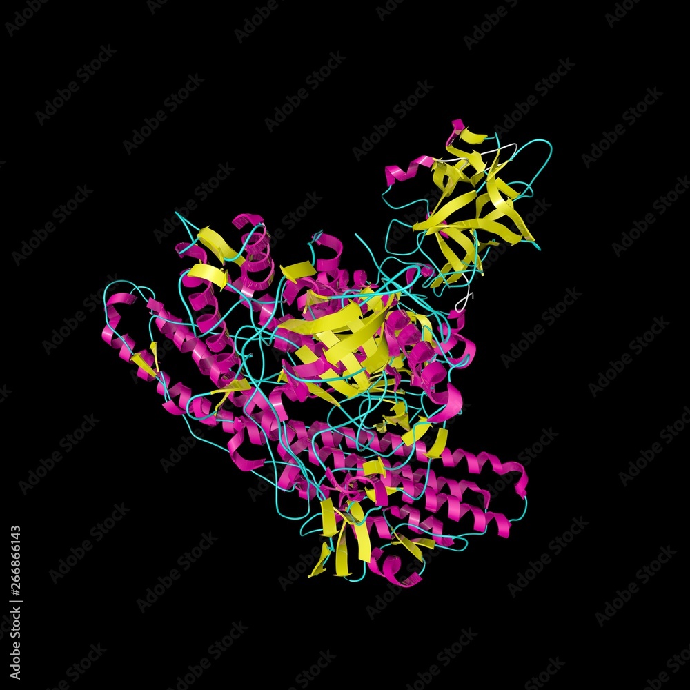 Crystal structure of the tetanus neurotoxin produced by clostridium ...