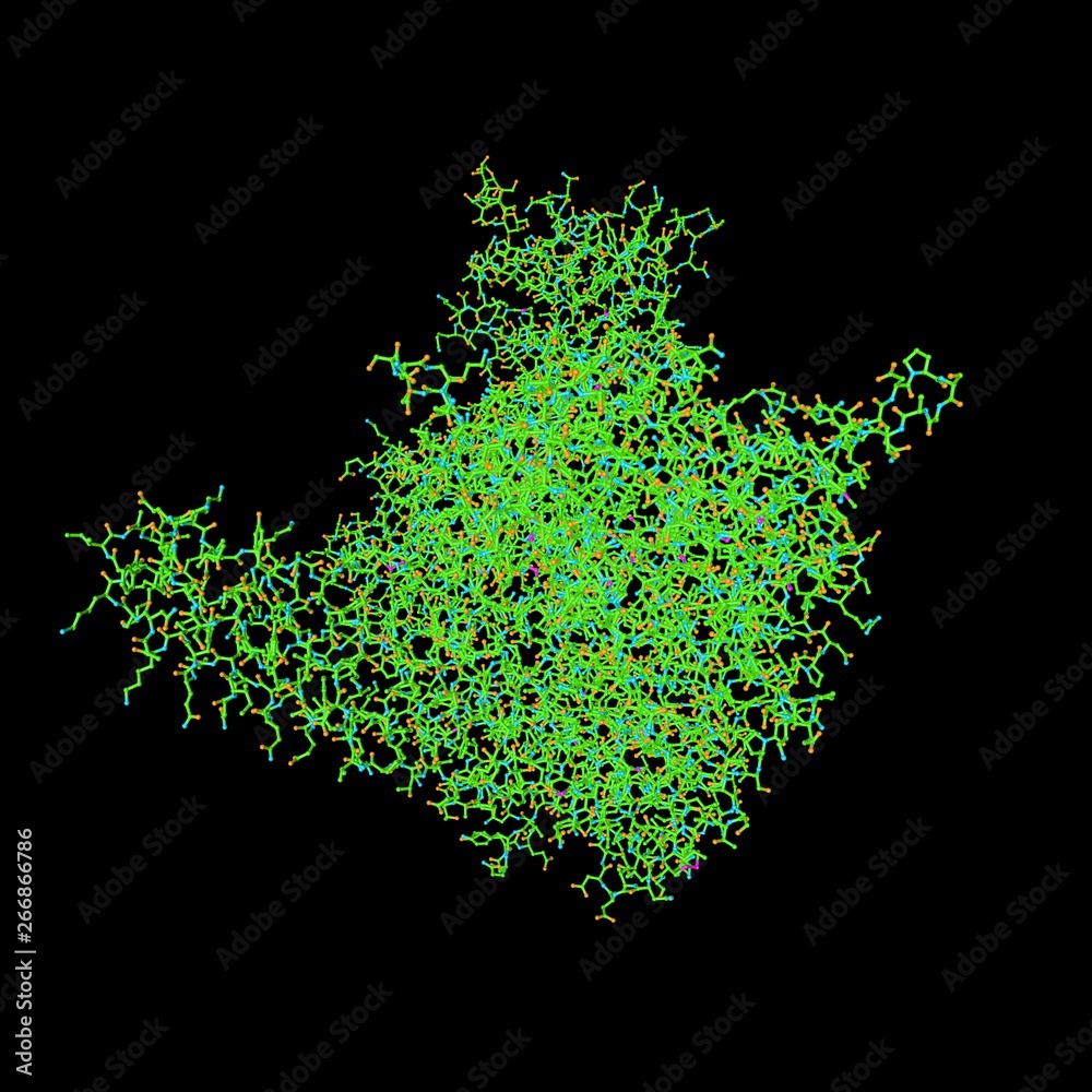 Molecular structure of the tetanus neurotoxin produced by clostridium ...