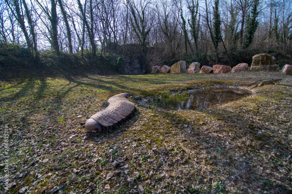 visiting the Zoo of Affi, near lake Garda, italian Zoo, nature and ...