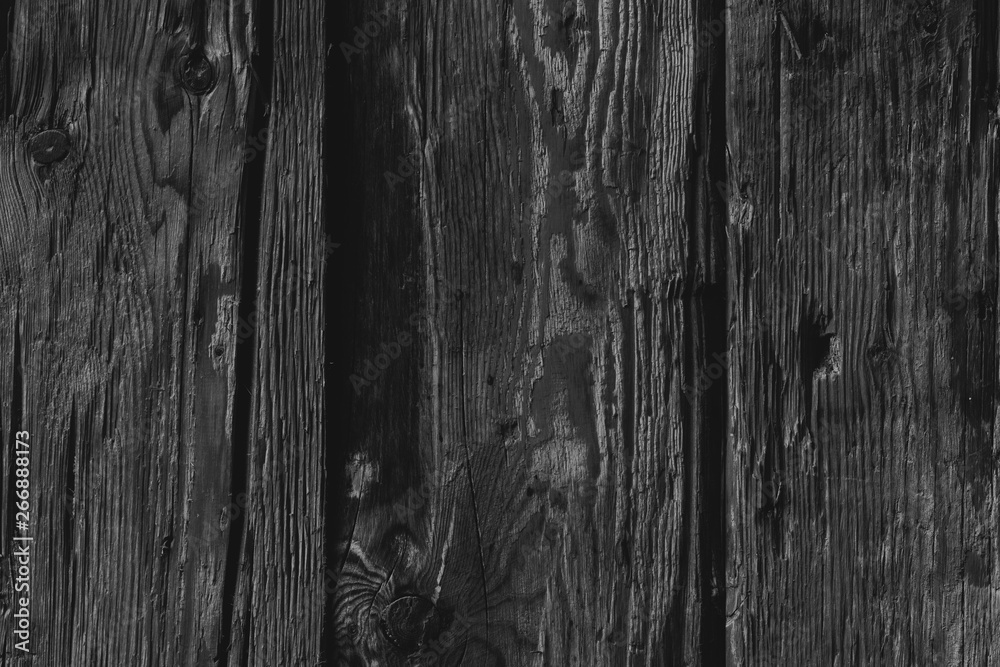 grey tree timber wood structure texture background backdrop Stock Photo ...