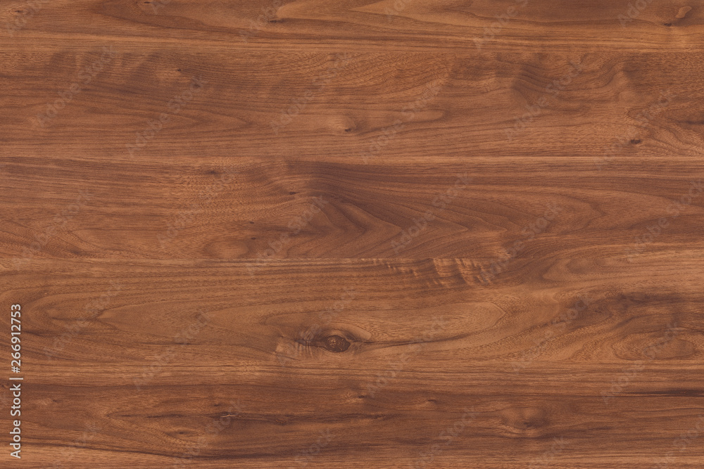 wild oak tree wood wallpaper structure texture background backdrop ...