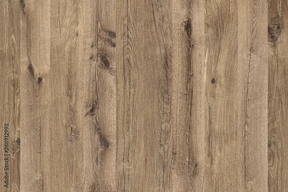 wild oak tree wood wallpaper structure texture background backdrop ...