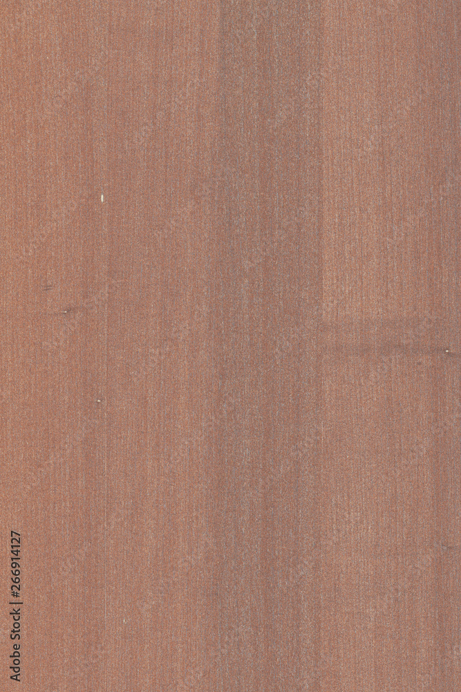 wood timber tree wooden backdrop structure texture background wallpaper ...