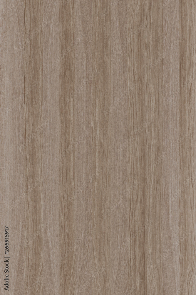 wood timber tree wooden backdrop structure texture background wallpaper ...