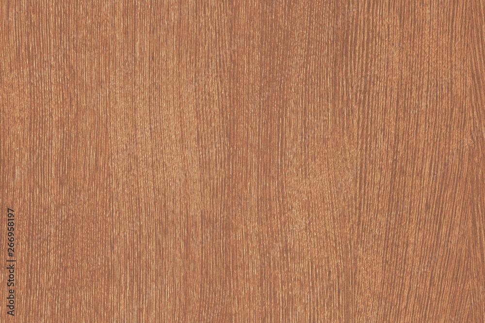 wood timber tree wooden backdrop structure texture background wallpaper ...