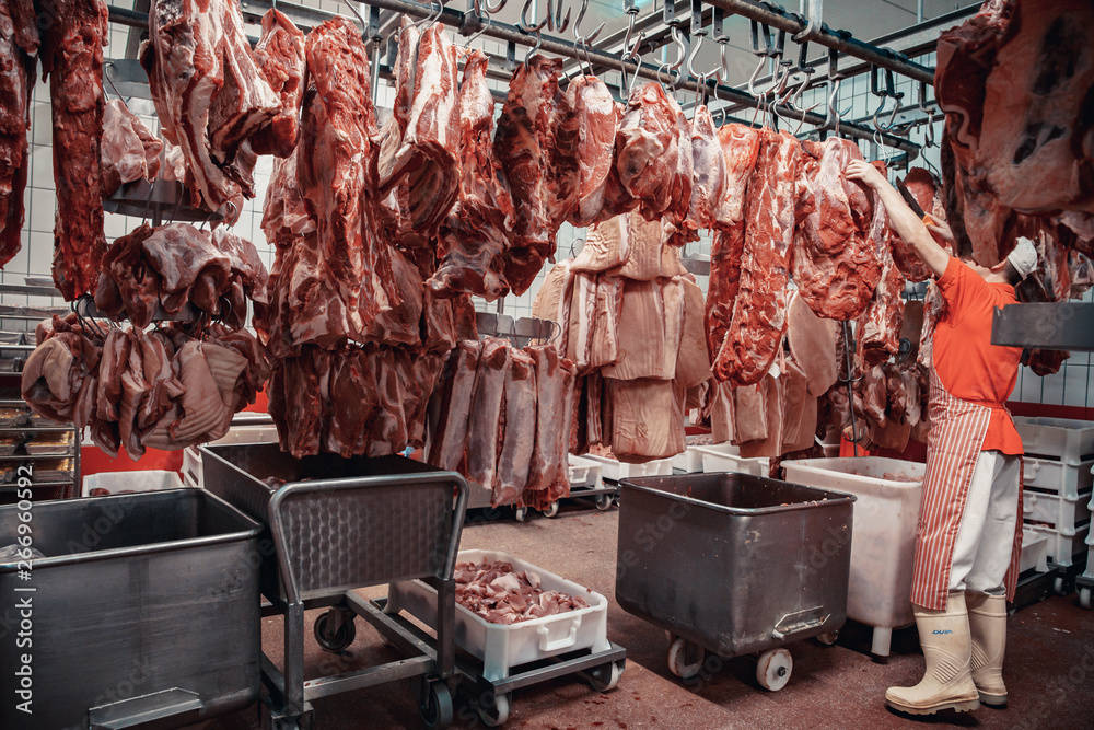 Photo & Art Print butcher prepares meat for processing in the ...