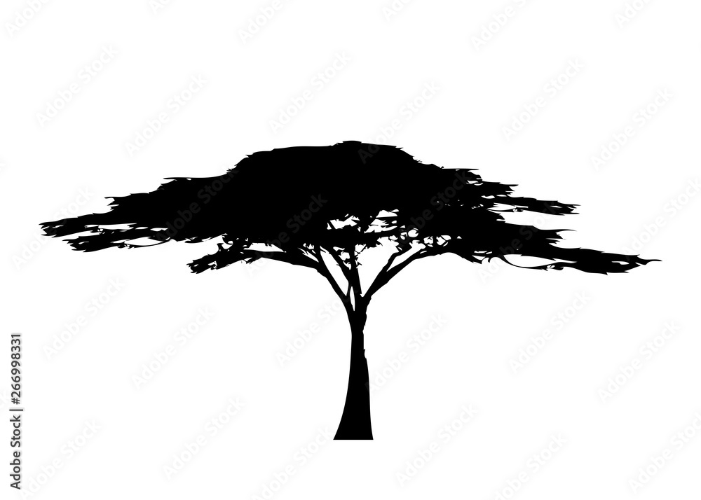 African tropical tree logo icon black and white color, acacia tree ...