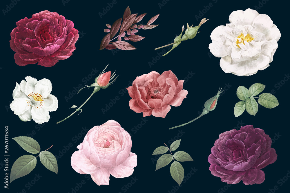 Vintage flower drawings Stock Vector | Adobe Stock