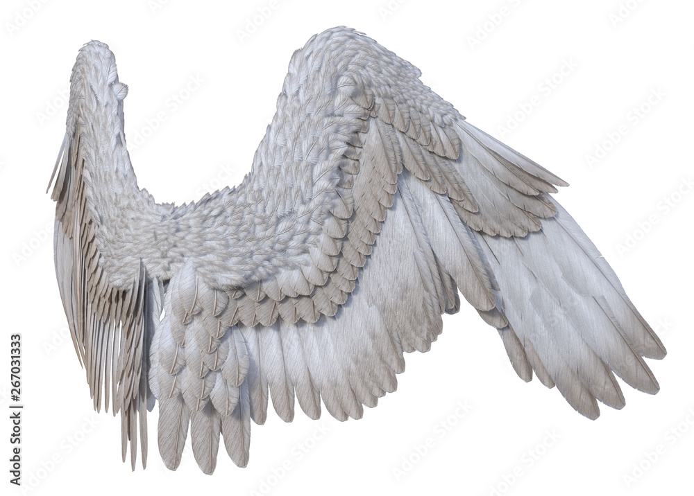 3D Rendered White Fantasy Angel Wings on White Background - 3D ...