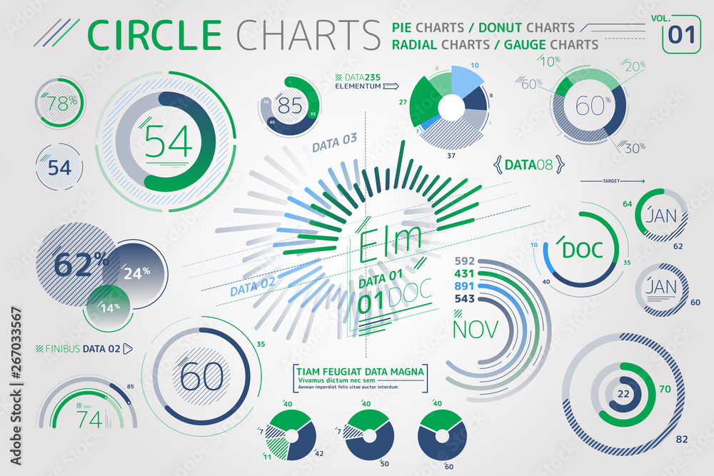 Circle Charts, Pie Charts, Radial Charts and Gauge Charts Infographic Elements Stock Vector ...