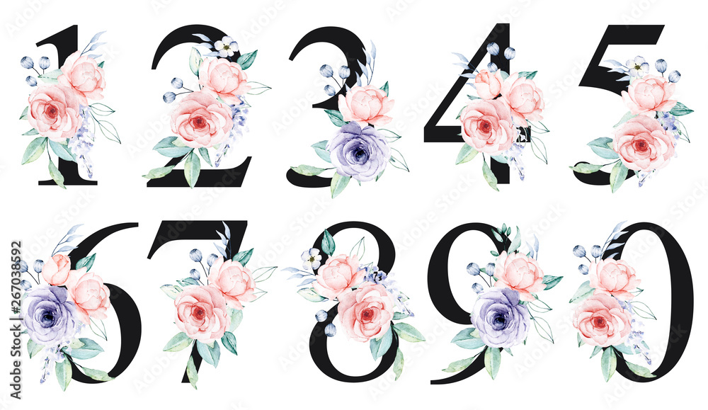 Numbers set with watercolor flowers roses and leaf. Perfectly for ...