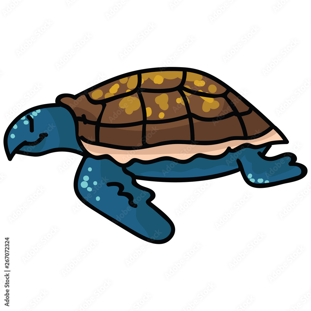 Sea Turtle Shell Clip Art