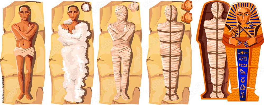 Mummy creation cartoon vector illustration. Stages of mummification ...