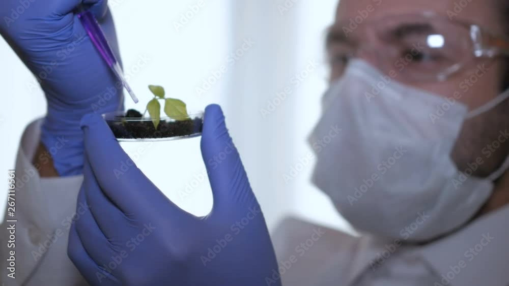Man biologist holding pipette with blue chemistry in front of sprouts ...