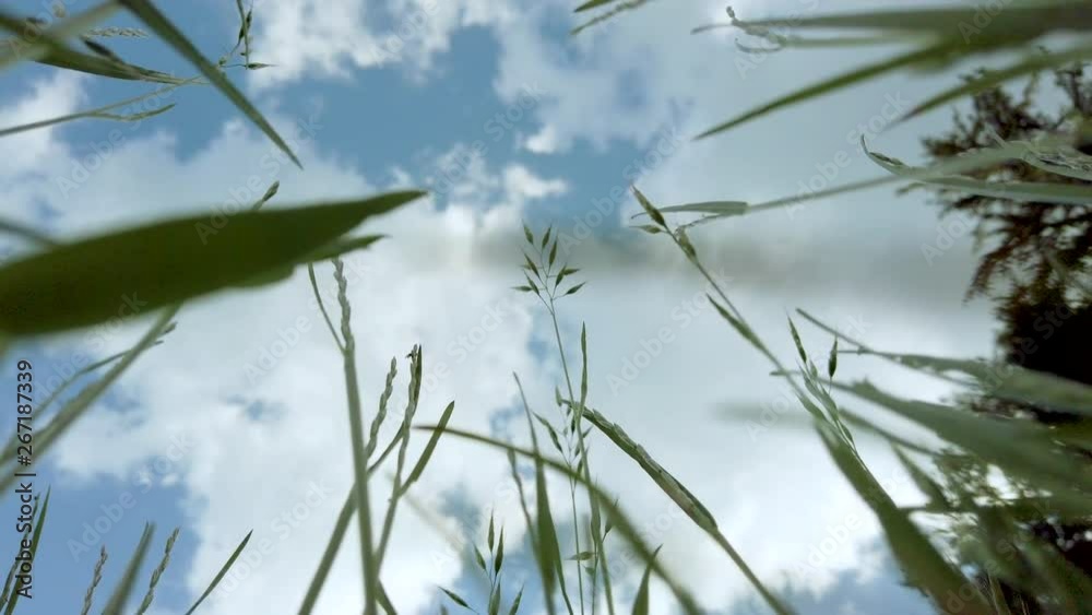 Vidéo Stock Rotating shot looking straight up at patchy clouds in the ...