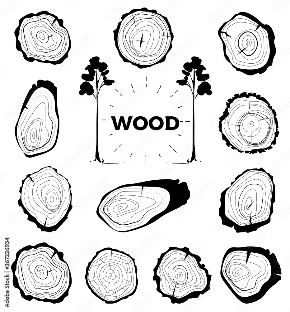 Collection of tree-rings. Set a cross section of the trunk with tree ...