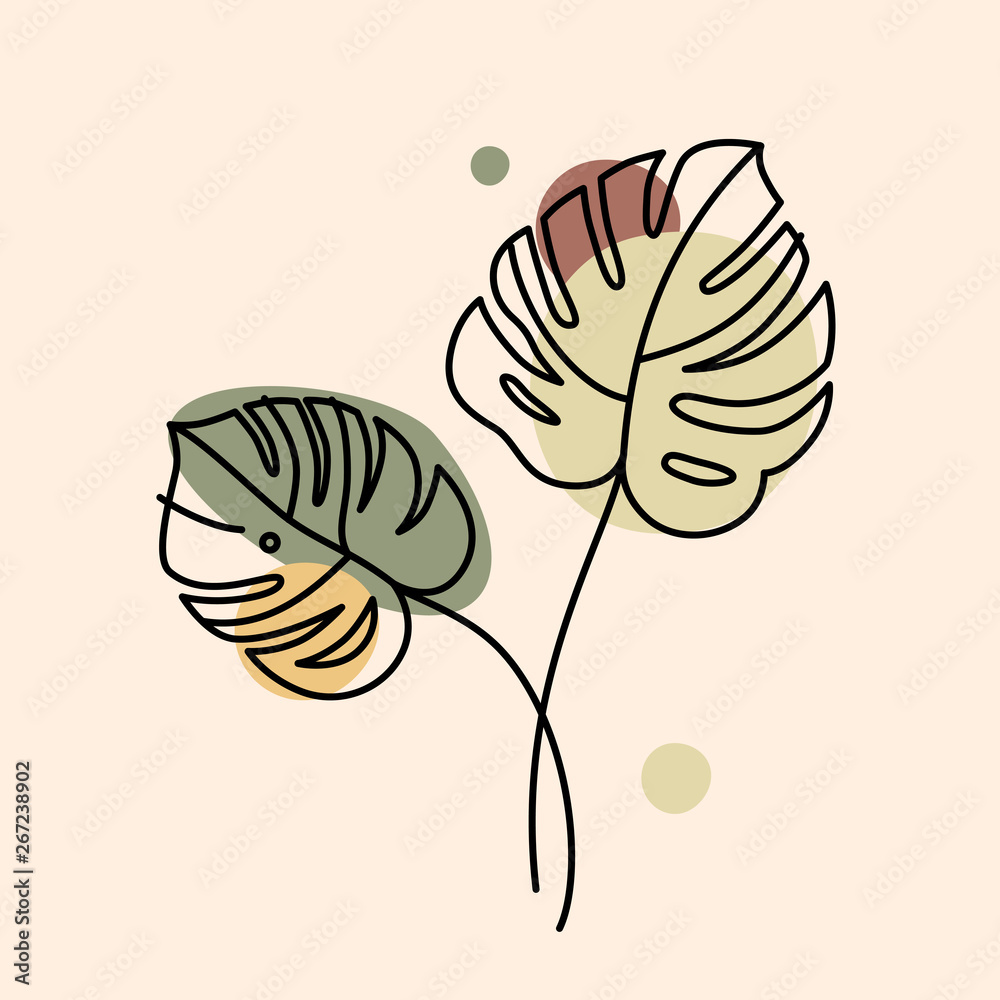 Vector illustration in minimal linear style - monstera leaves Stock ...