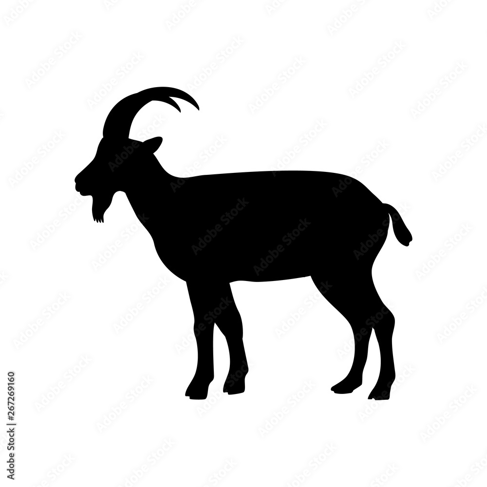 Billy goat mammal black silhouette animal. Vector Illustrator. Stock ...