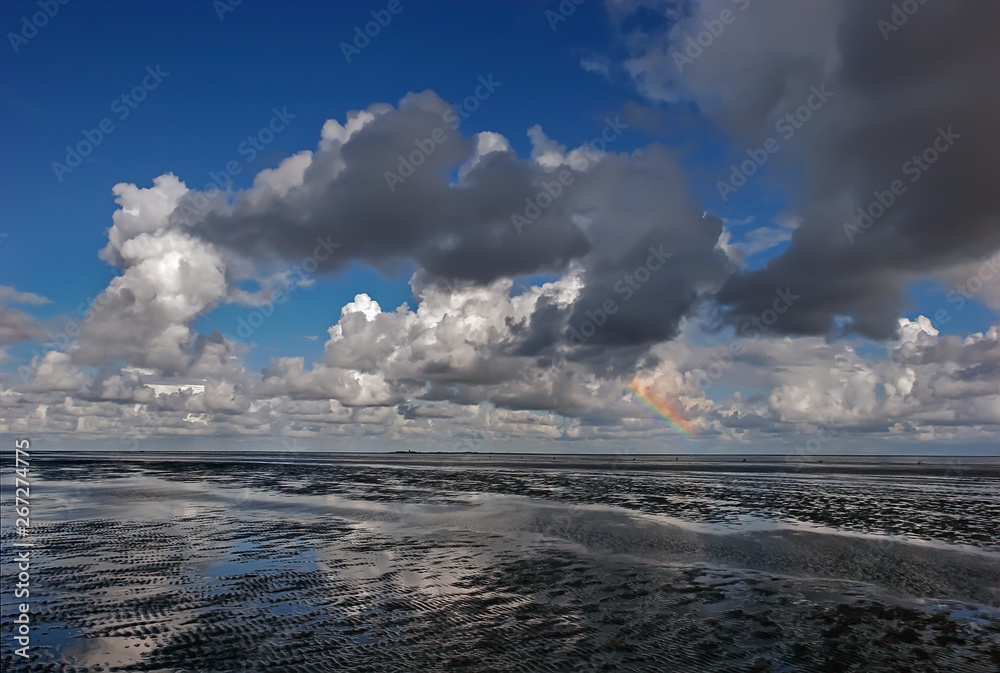 Foto de The bottom of the North sea (The walk to the island Neuwerk in ...