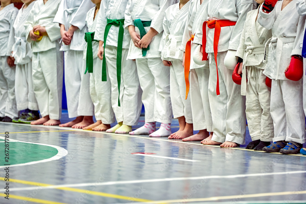 Concept karate, martial arts. Construction of students in the hall ...