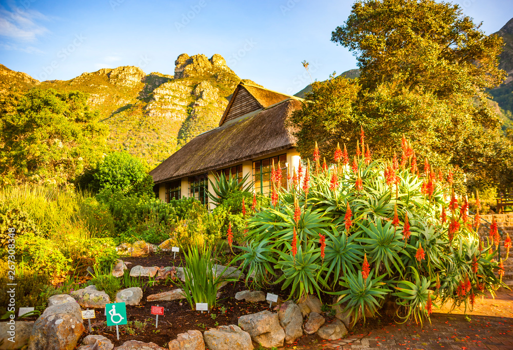 Kirstenbosch National Botanical Garden in Cape Town, South Africa Stock ...