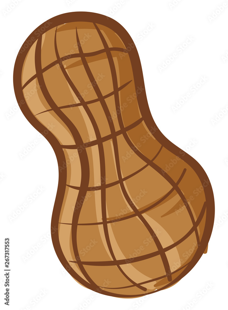 Peanut Clipart