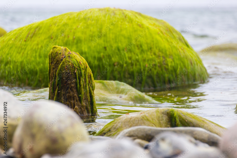 green cap Stock Photo | Adobe Stock