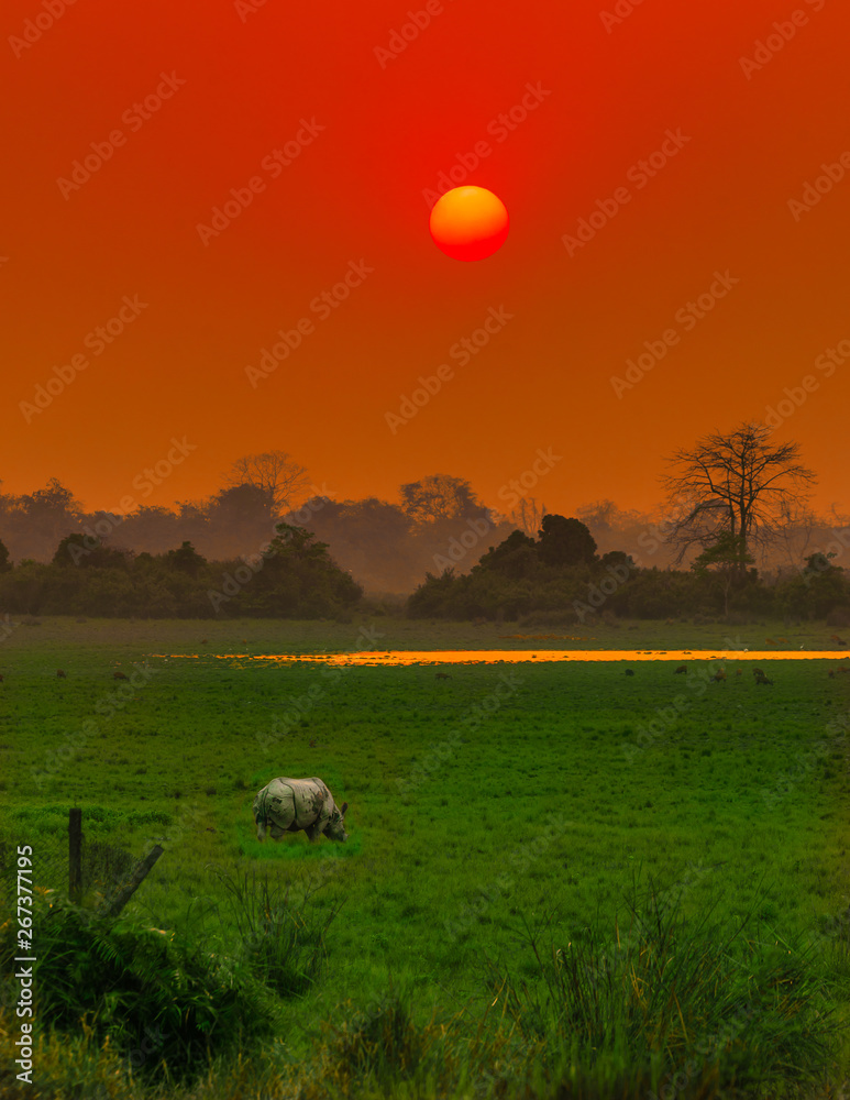 A signature sunset at the Kaziranga National Park, Assam, India. Stock ...