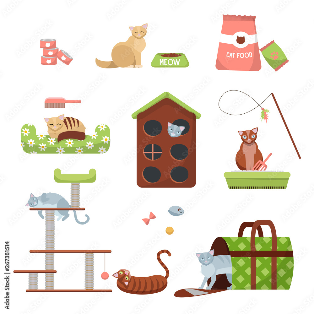 Set of cats care stuff: scratching post, house, bed, food , toilet ...