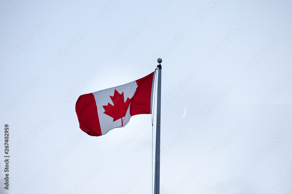 Canadian flag, with its iconic red maple leaf, waiving in the air on a ...