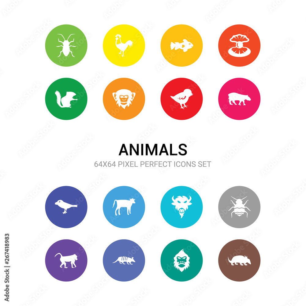 16 animals vector icons set included ant eater, ape, armadillo, baboon ...