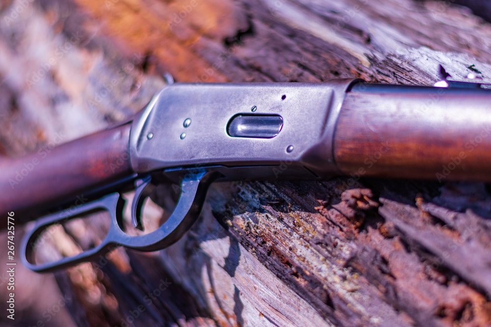 Fotografía Antique lever action rifle with a downed tree, Wes | Posters.es