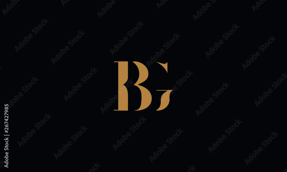 BG logo design template vector illustration Stock Vector | Adobe Stock
