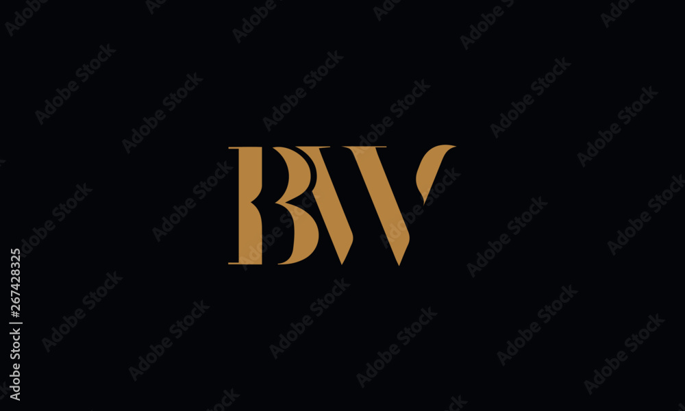 BW logo design template vector illustration Stock Vector | Adobe Stock