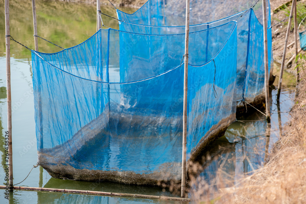 Fish cage floating in river use for raising fish, built with blue ...