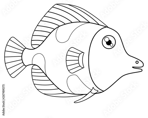 Tropical Fish Stencil