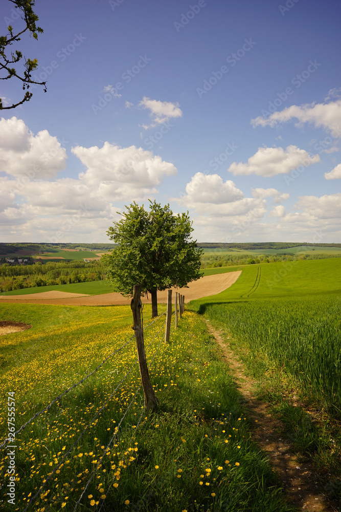Paysage Campagne 419 Stock Photo | Adobe Stock